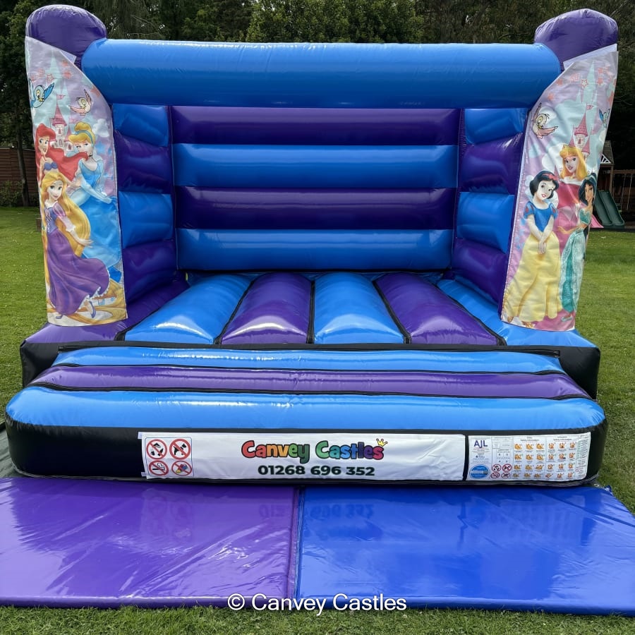 12ft x 12ft Blue and Purple Disney Princess Low Height Bouncy Castle ...