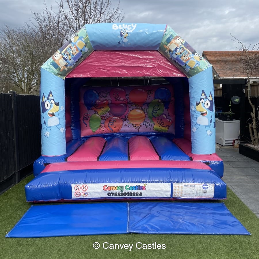 12ft x 12ft Pink and Blue Bluey Bouncy Castle - Bouncy Castle Hire in ...