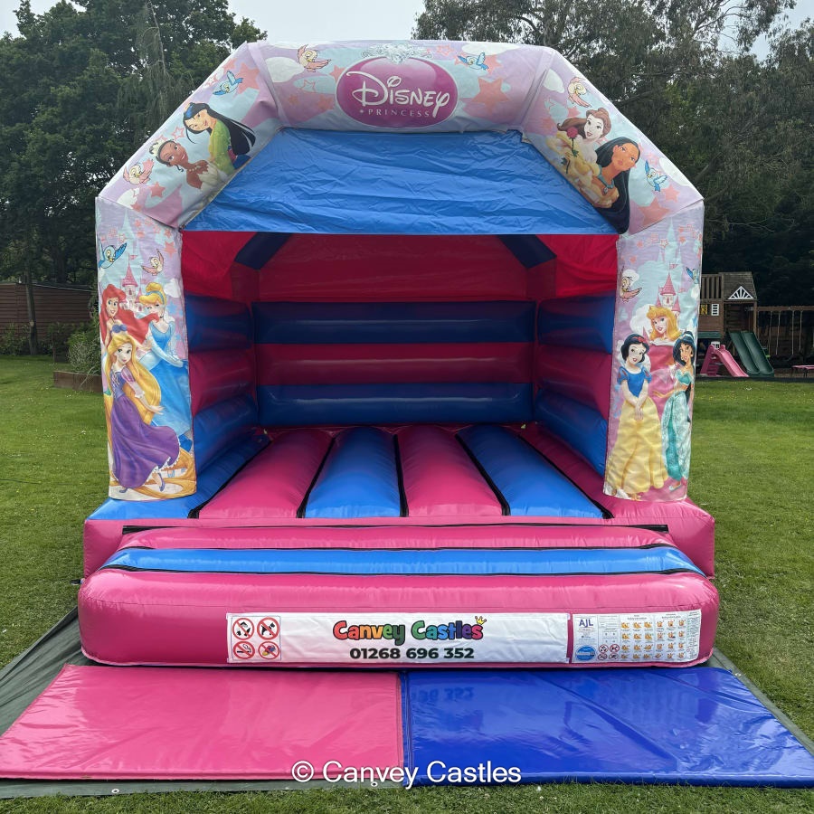 12ft x 15ft Blue and Pink Disney Princess Bouncy Castle - Bouncy Castle ...
