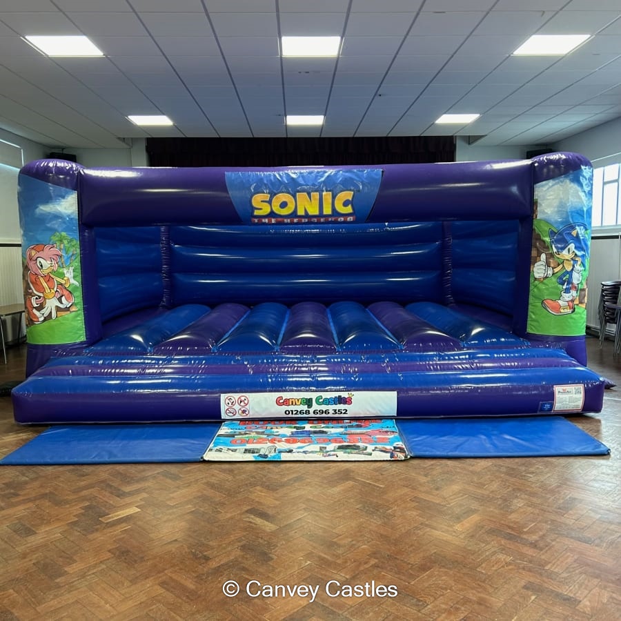 19ft x 18ft Blue and Purple Sonic The Hedgehog Bouncy Castle (low ...
