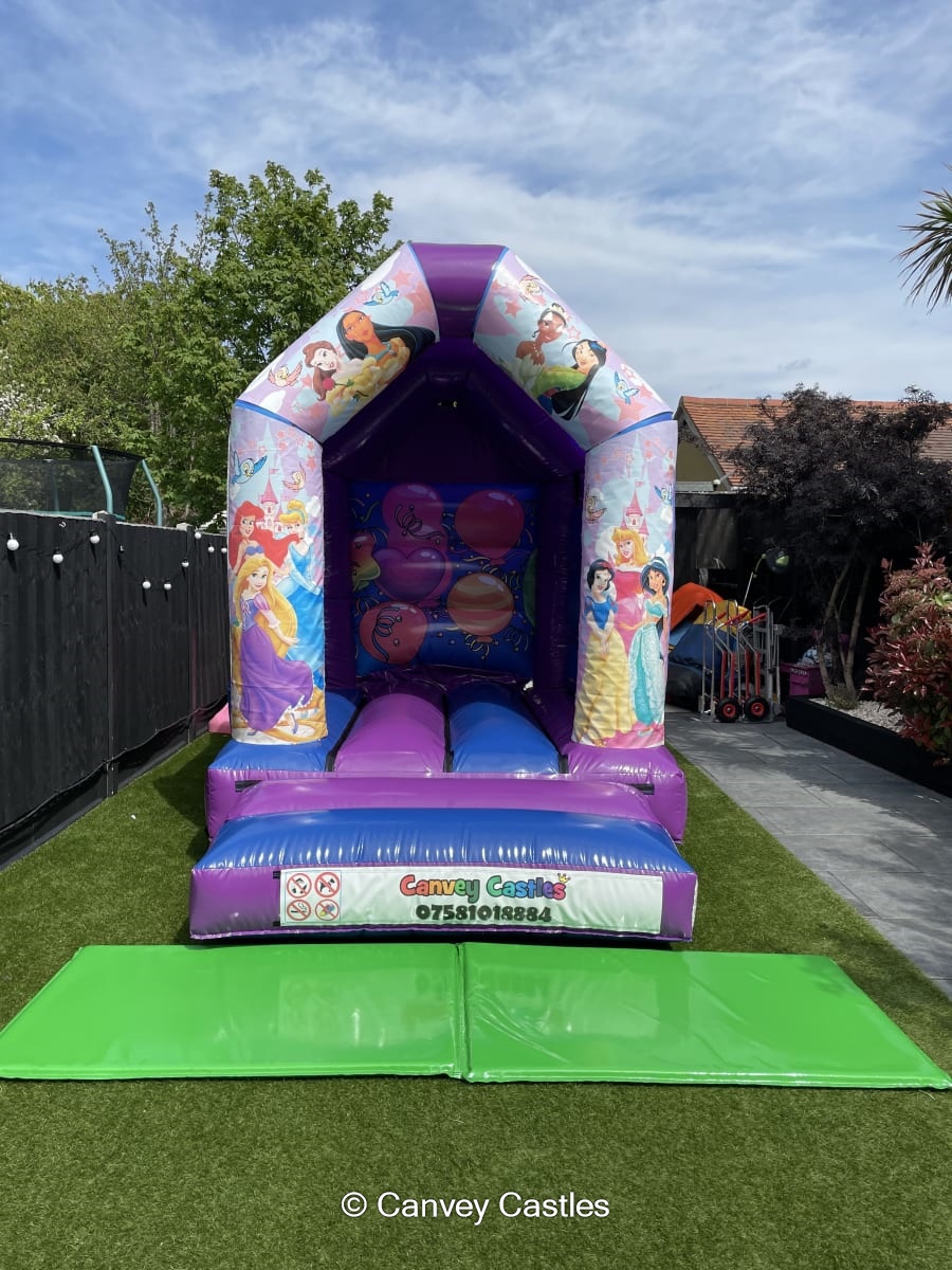 8ft x 12ft Blue and Purple Disney Princess Bouncy Castle - Bouncy ...