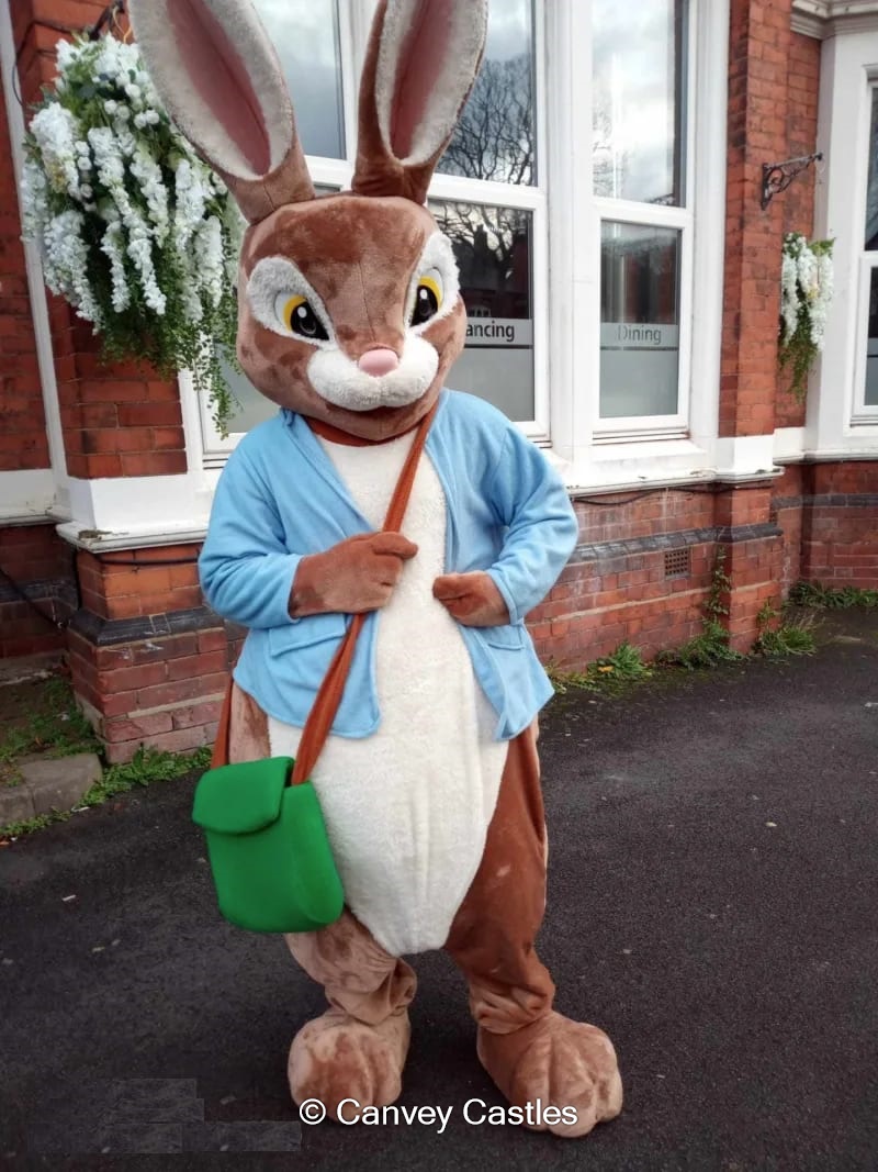 Peter Rabbit Design 2 Costume Bouncy Castle Hire in Essex Canvey Castles