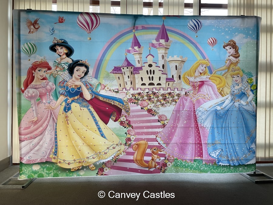 Disney Princess Backdrop - Bouncy Castle Hire in Essex | Canvey Castles