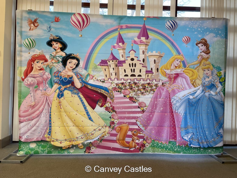 Disney Princess Backdrop - Bouncy Castle Hire in Essex