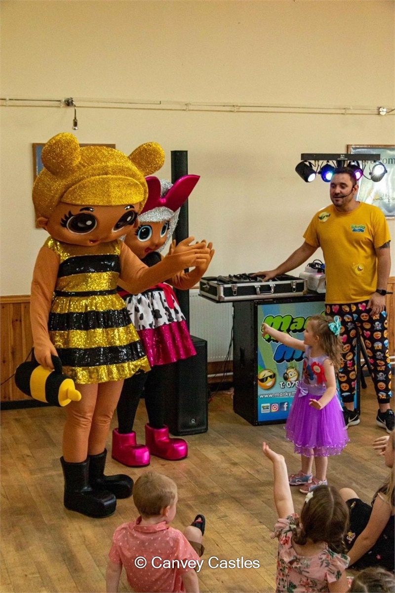 LOL Queen Bee Mascot Costume - Bouncy Castle Hire in Essex | Canvey Castles